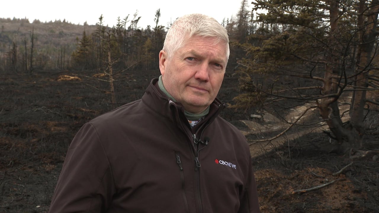 ‘No phones were working’: Adam’s Cove wildfire shows need for better ...