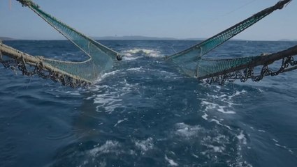 Shocking David Attenborough footage shows destruction caused by ...