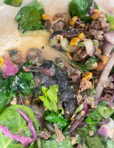 Woman Claims She Found a Dead Rat in Her Salad. The N.Y.C. Eatery Says ...