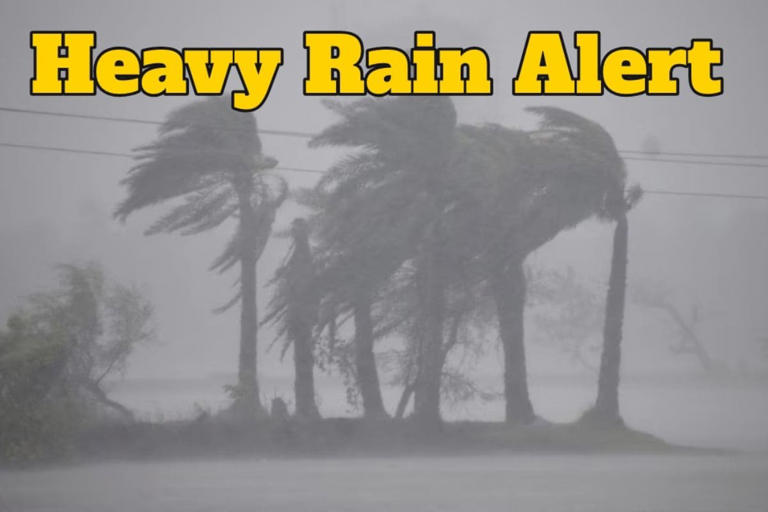 Google to pay $50M to settle black employees’ lawsuit alleging ...