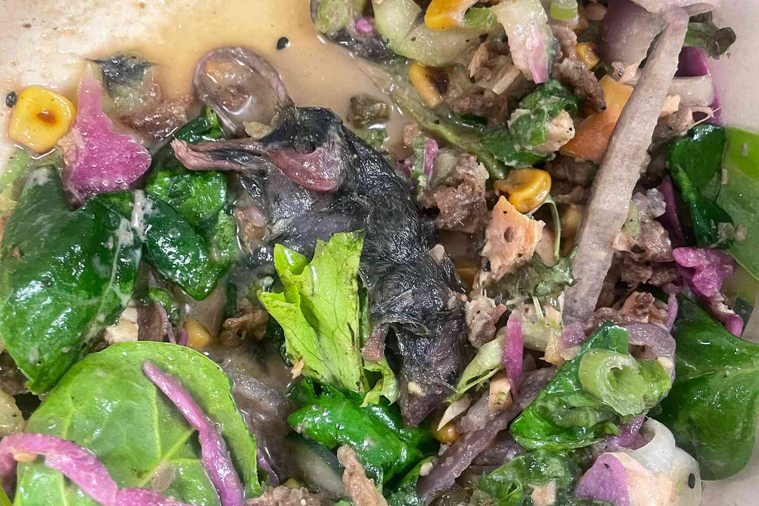Woman Claims She Found a Dead Rat in Her Salad. The N.Y.C. Eatery Says ...