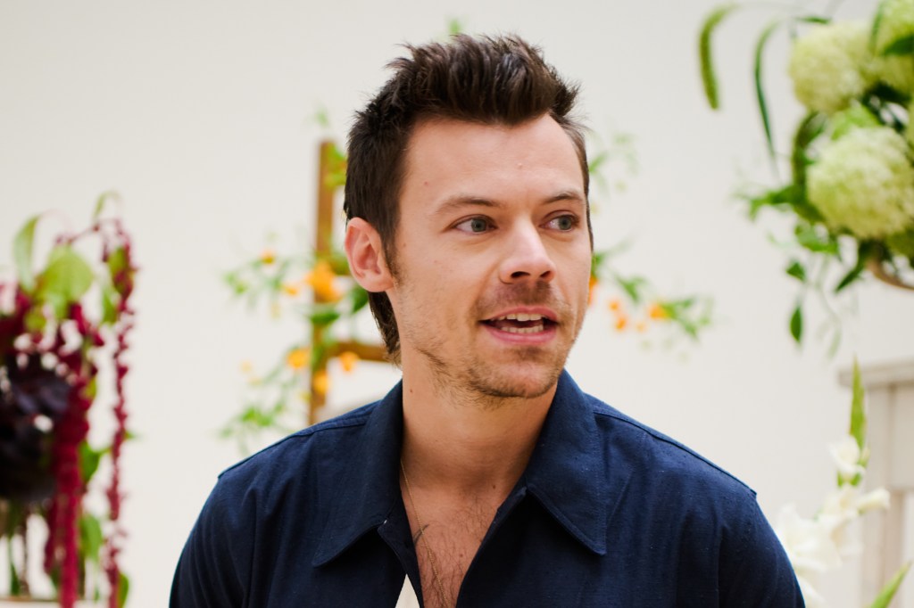 Fans Believe Harry Styles' Latest Side Quest Sent Him to the Pope ...