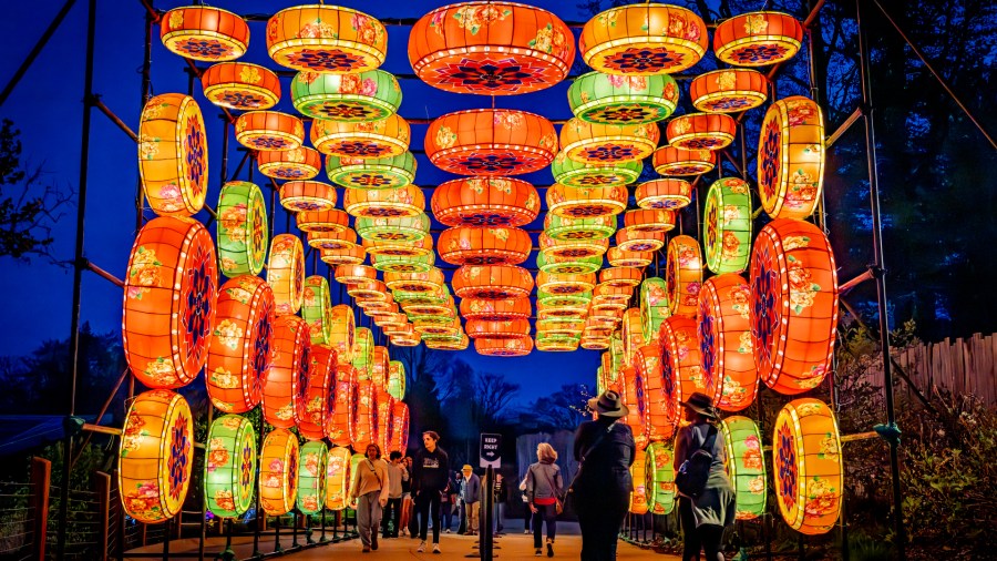 Grand Rapids Lantern Festival gets underway Wednesday at John Ball Zoo