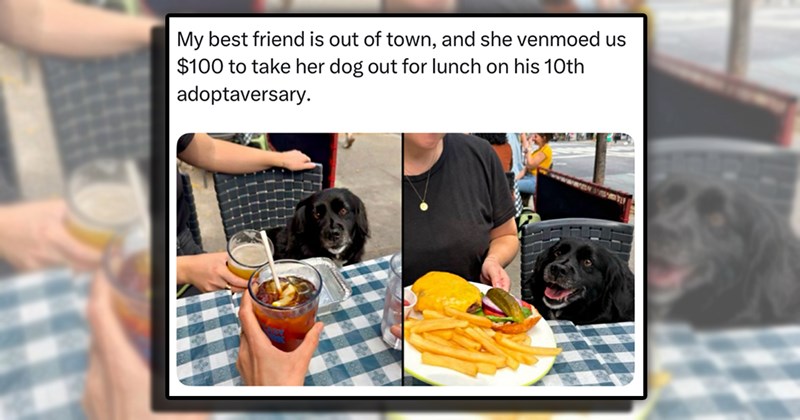 21 Howlarious Dog Memes for Pawrents-to-Be and Dog-Lovers In Need of a ...