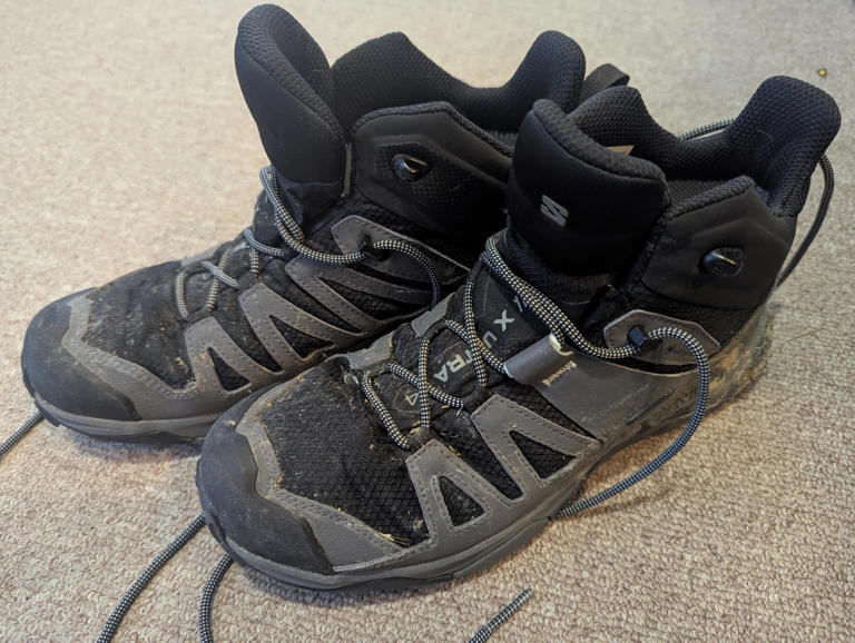 Beginning your Biggest Week in American Birding