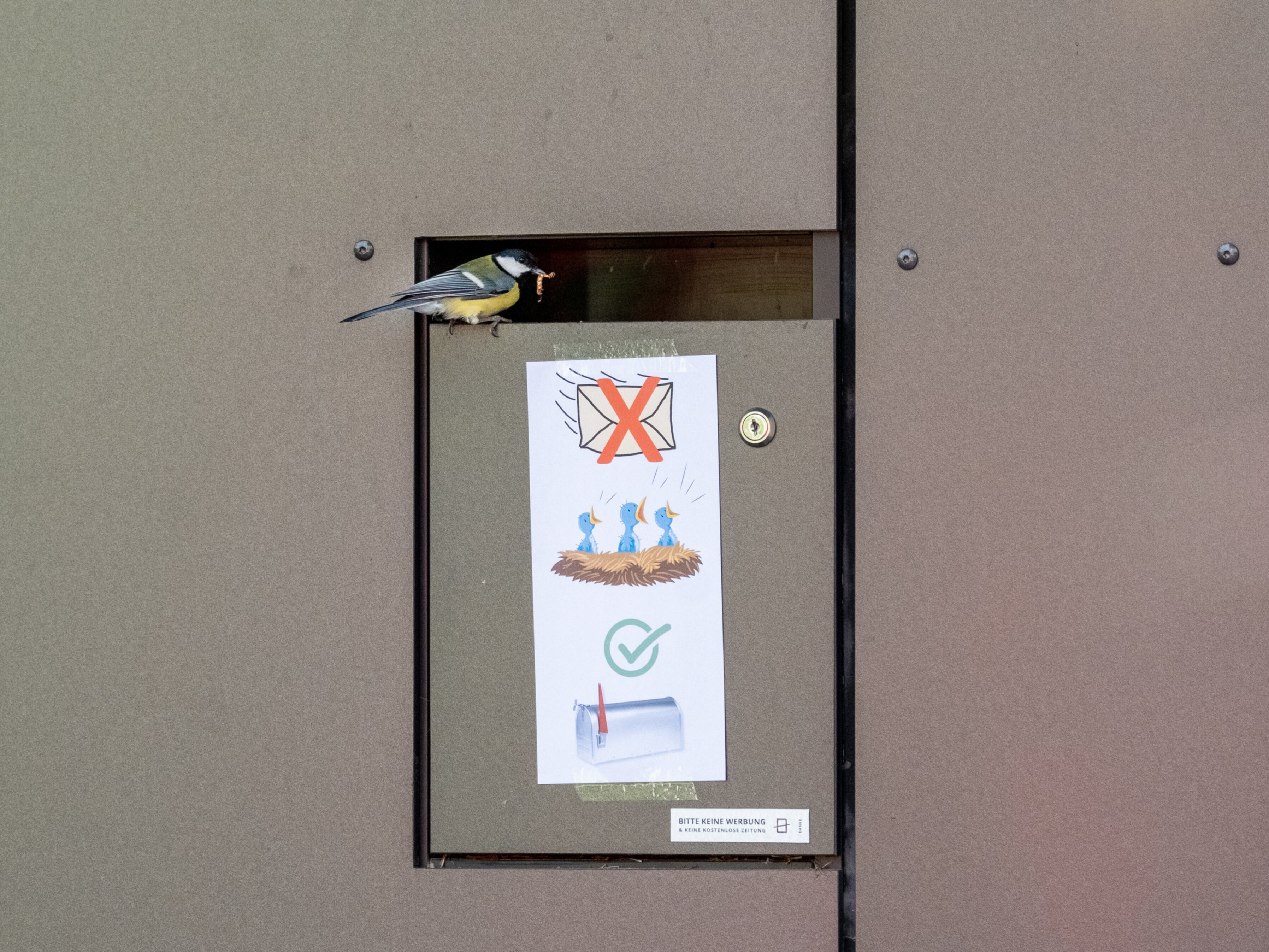 The Latest Editorial Cartoons From Gary Varvel