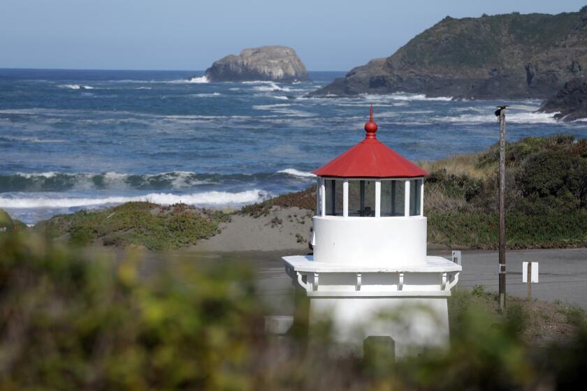 Forensic testing links skull remains to Northern California woman ...