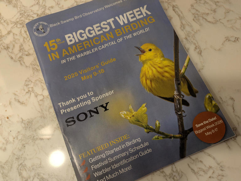 Beginning your Biggest Week in American Birding