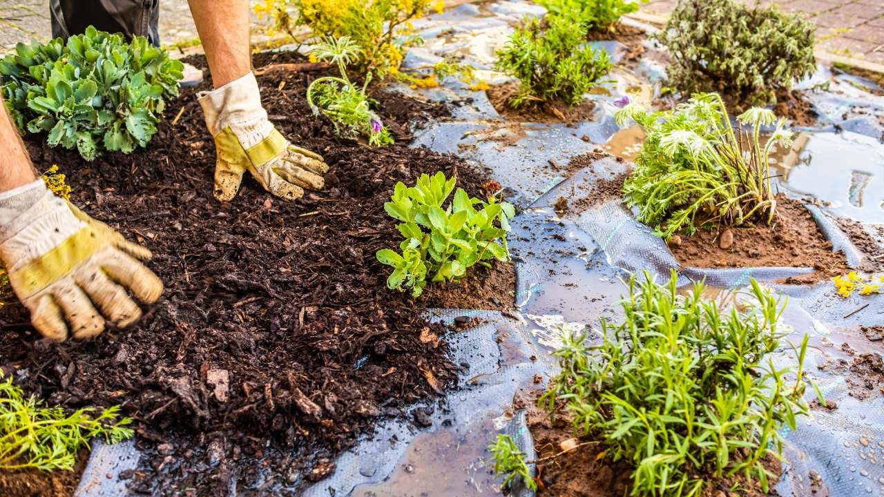 10 Weed Control Hacks That Actually Work
