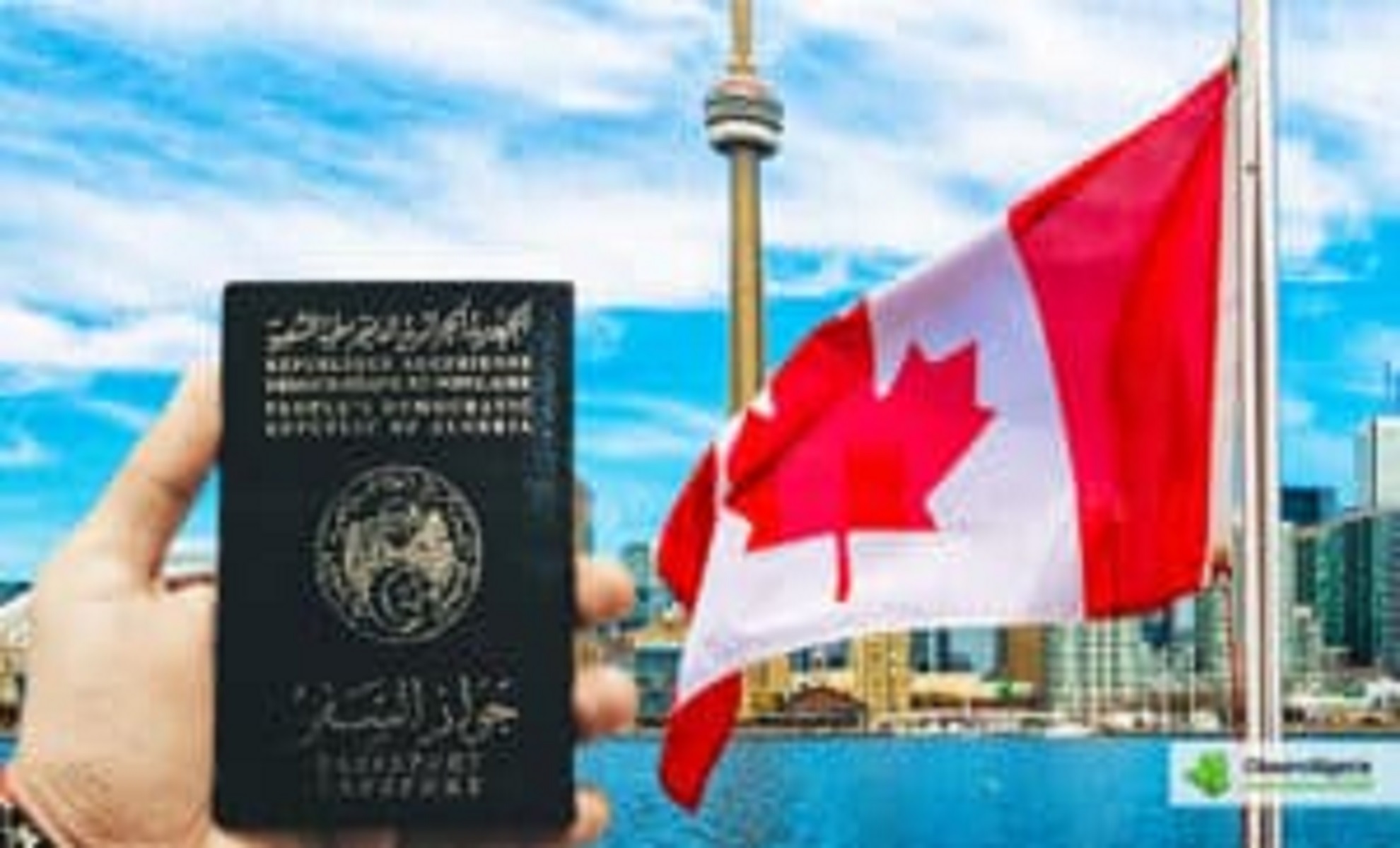 Immigration Canada : l’Alberta, nouvelle destination pour les Algériens?