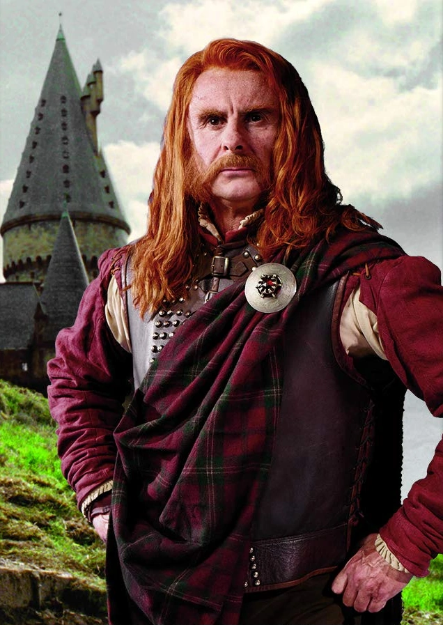 15 Most Famous Hufflepuff Characters in Harry Potter (Ranked)