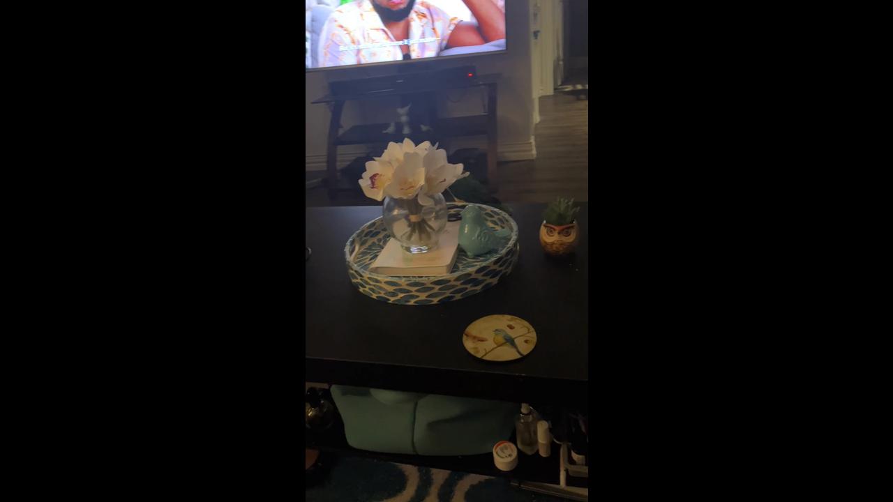 Naughty Bird Looks for Mischief