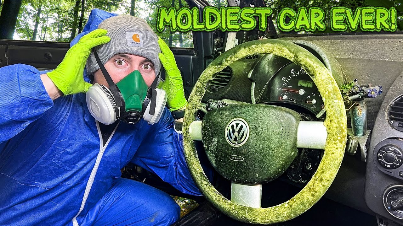 Mold-Covered Beetle Cleaned in First Detail for Years