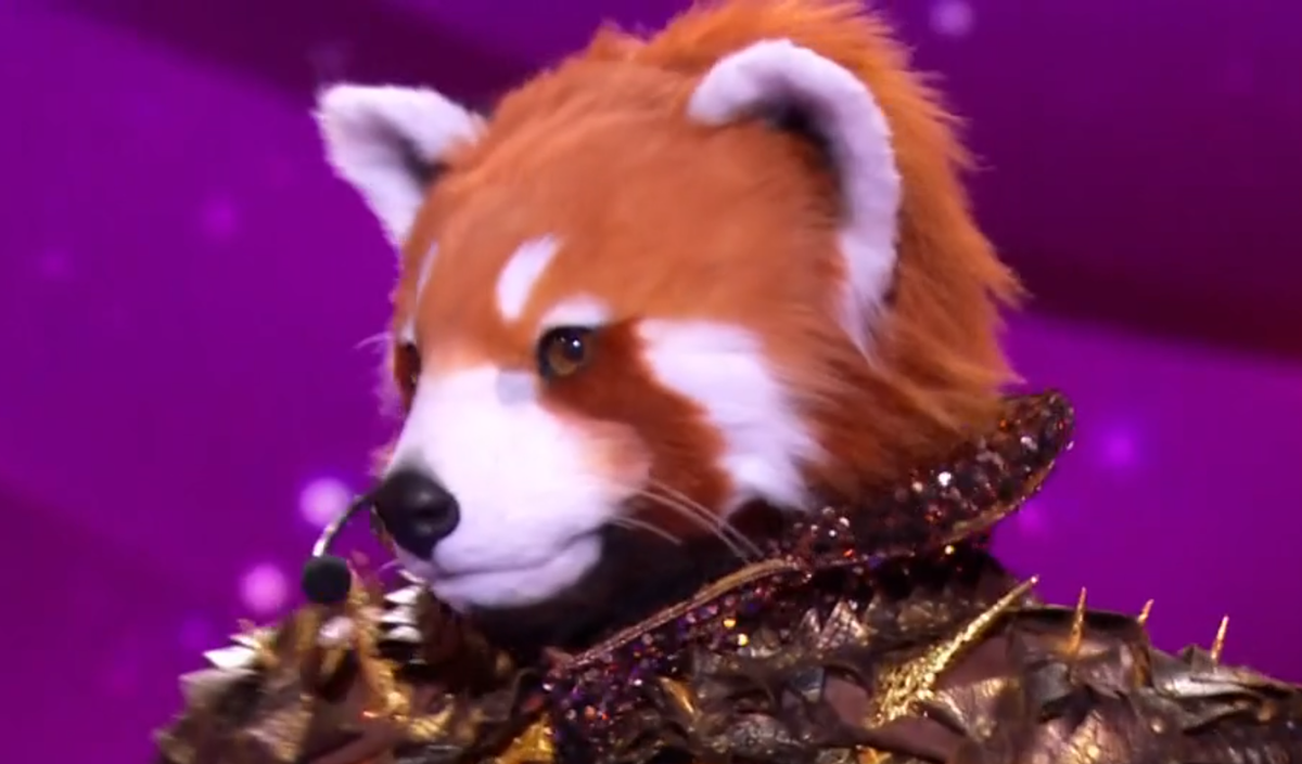 Mask Singer 2025 : C'est une fin d'aventure pour le Panda Roux, il s ...