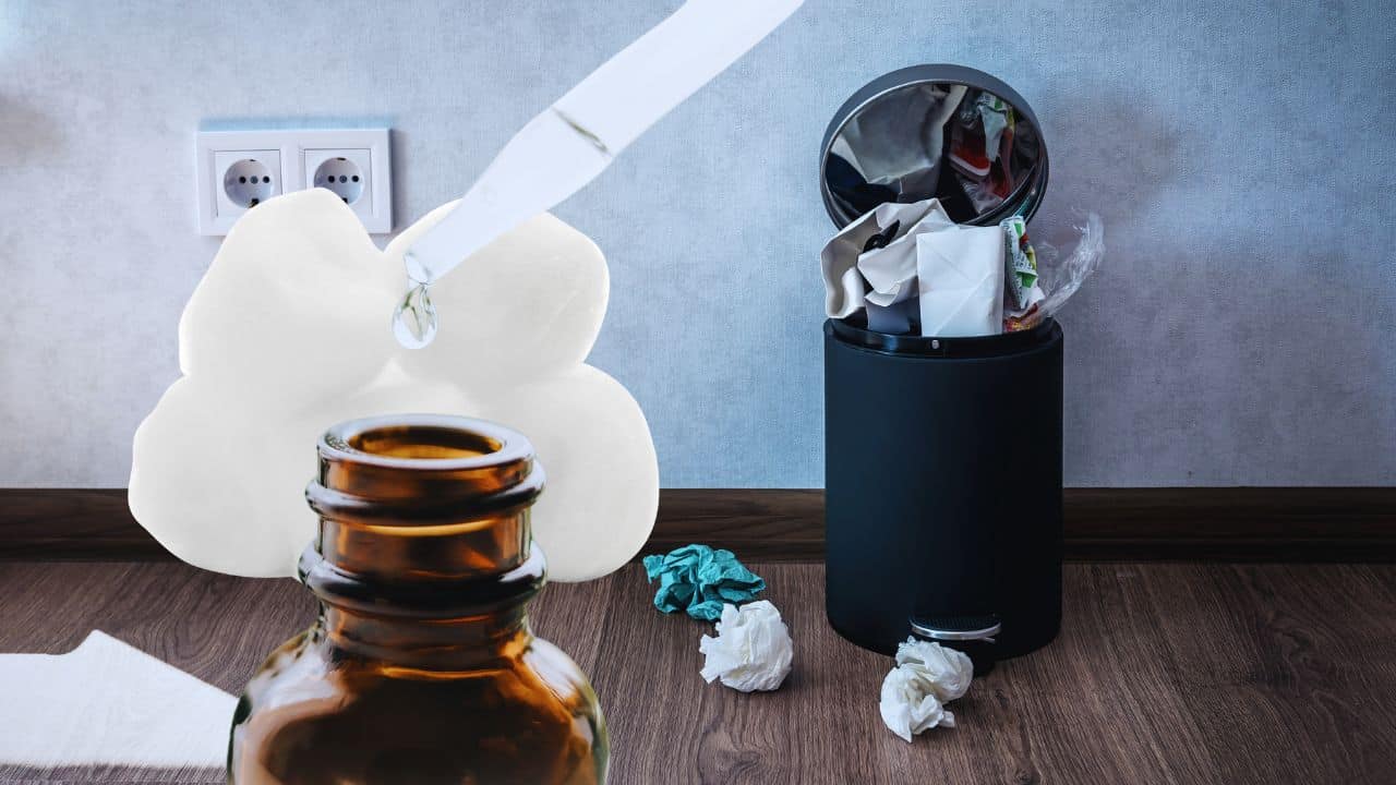 7 Steps to Get Rid of Trash Can Odors with This Cotton Ball Trick