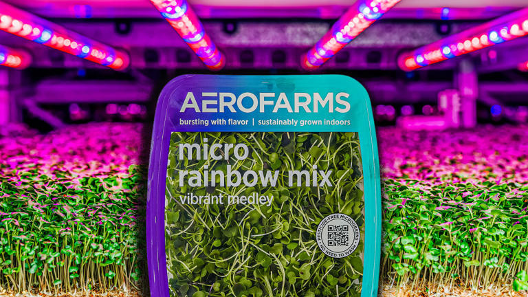 AeroFarms turned itself around after bankruptcy. Is it a sign that ...