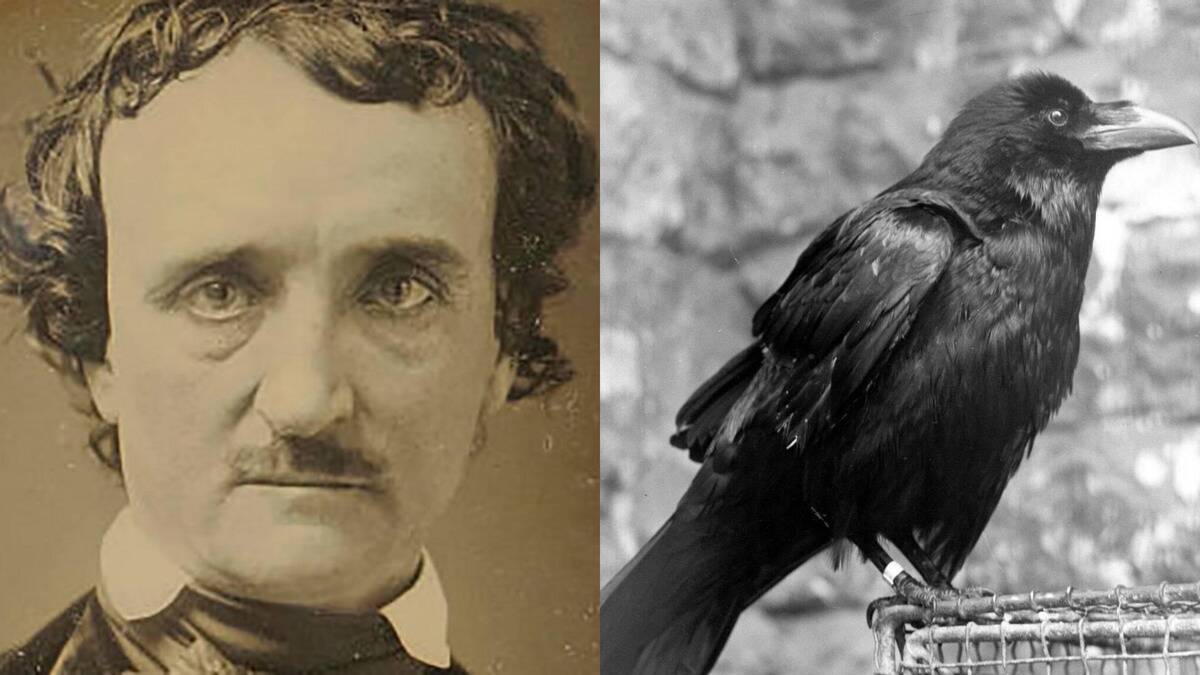 Strange And True Facts About Edgar Allen Poe