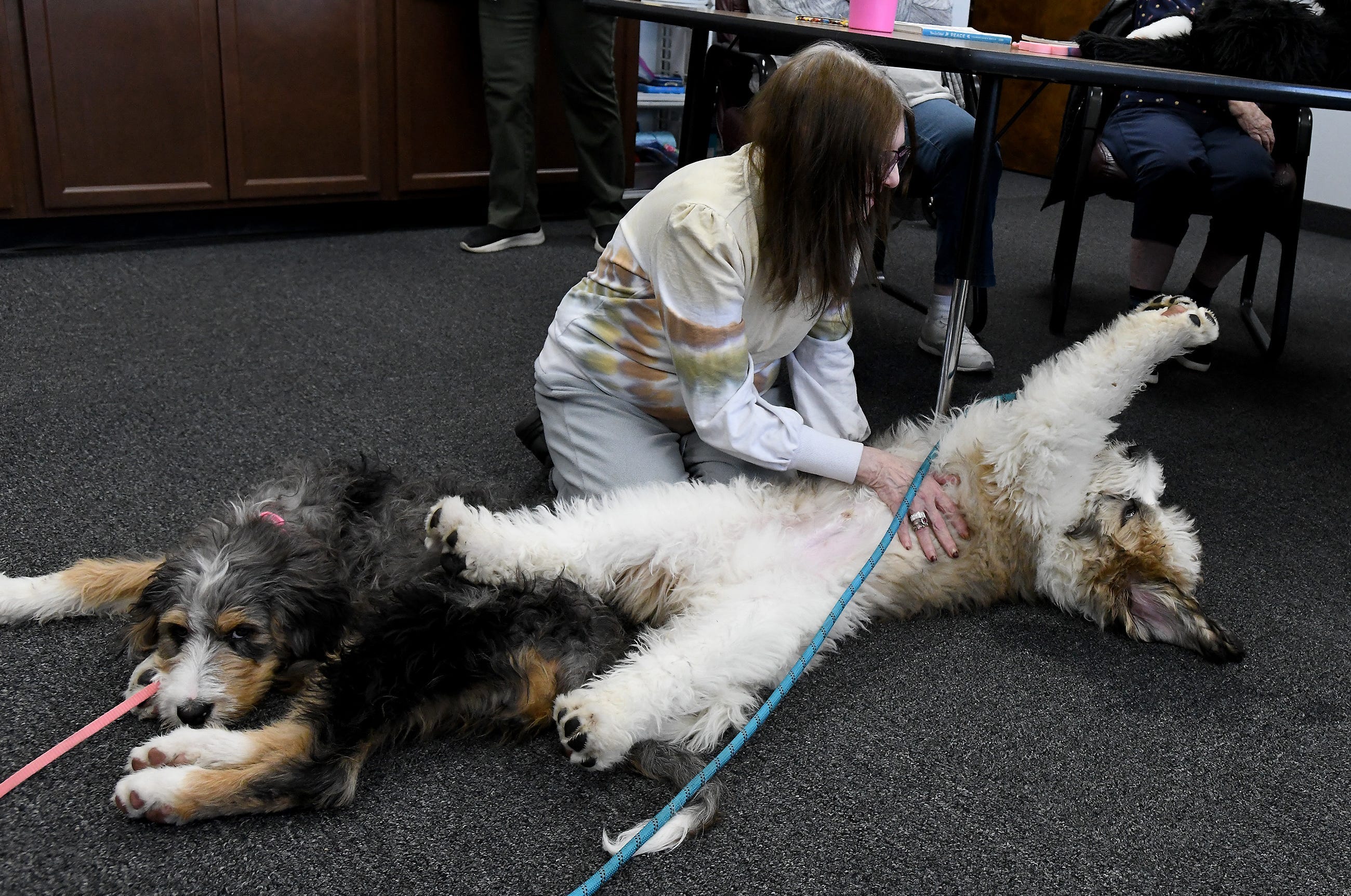 The 25 most popular dog breeds of 2025