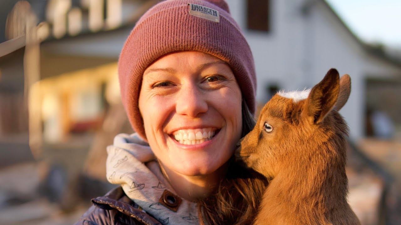 Animals Have A LOT to Teach Us