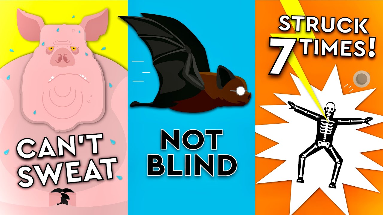 See which common phrases we pronounce incorrectly today