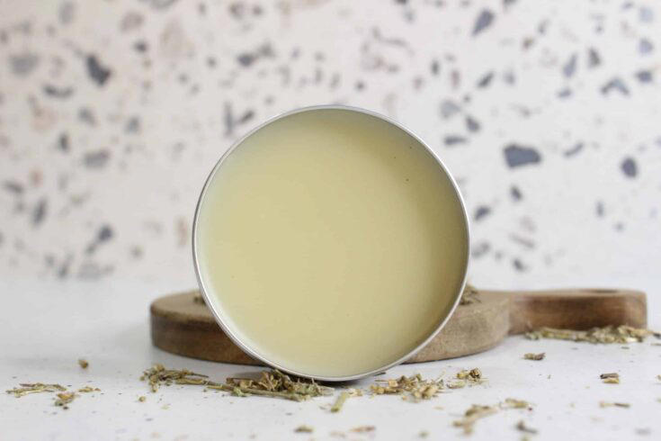 DIY Chickweed Salve