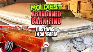 Moldy Plymouth Fury Barn Find Gets First Wash in 30 Years