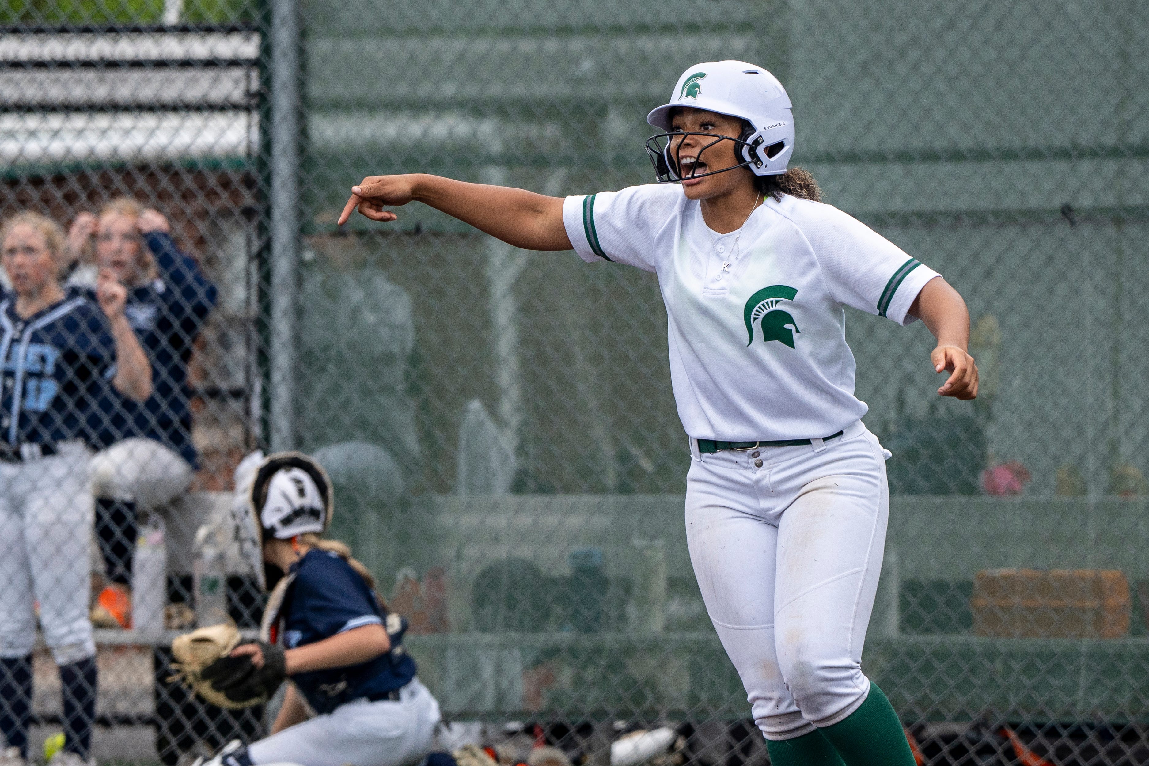 DePaul softball wins first sectional championship since 1993