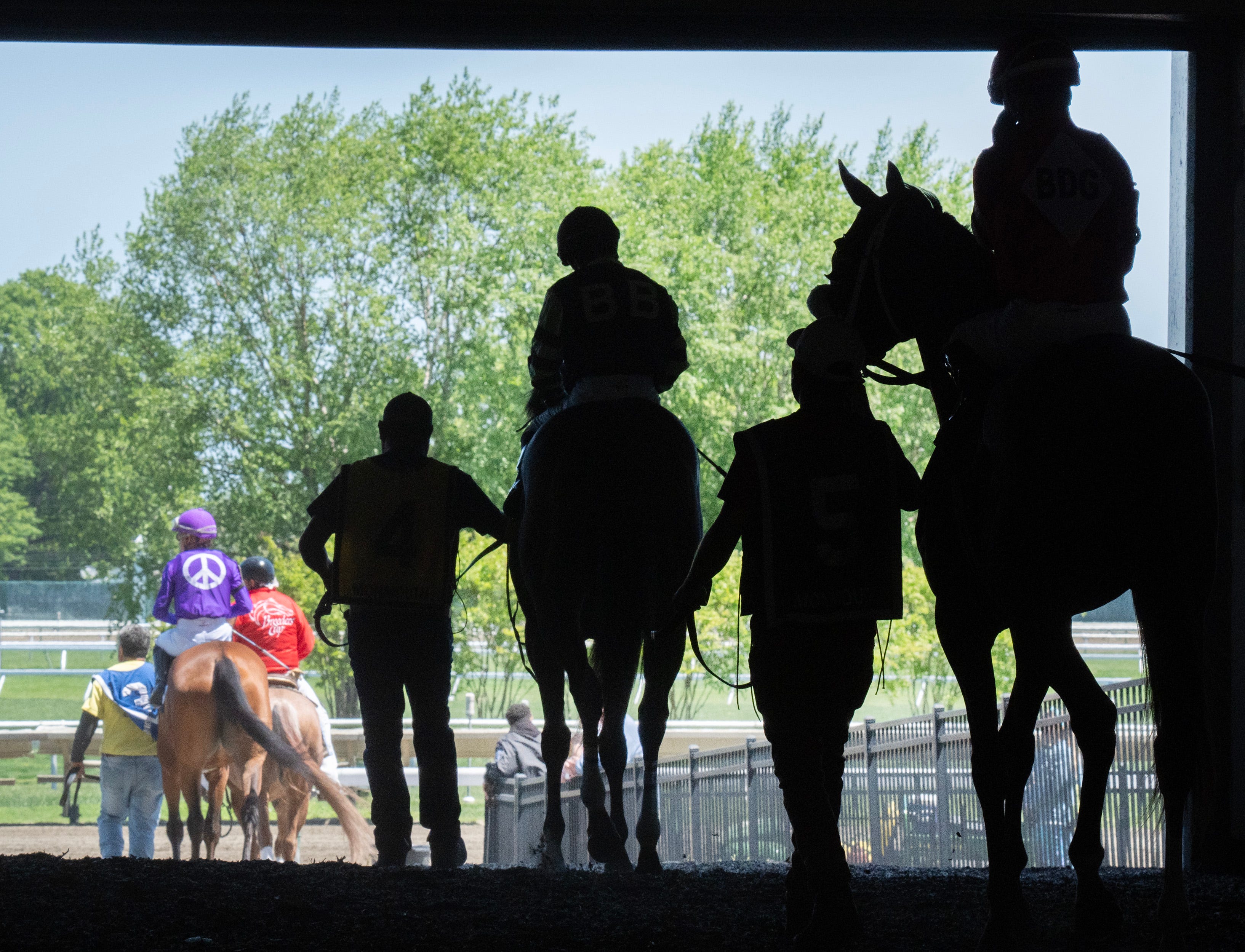 Lifetime Shore resident who was prominent thoroughbred racing horse ...
