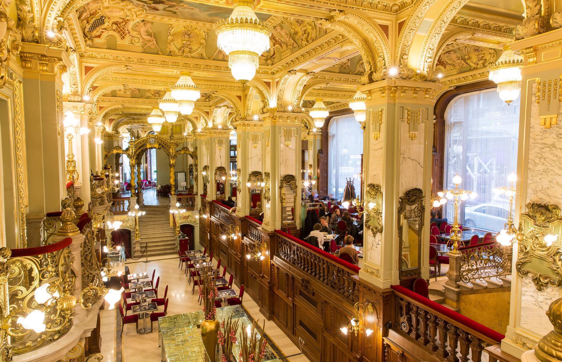 The World's Most Beautiful Historic Cafes That You MUST Visit