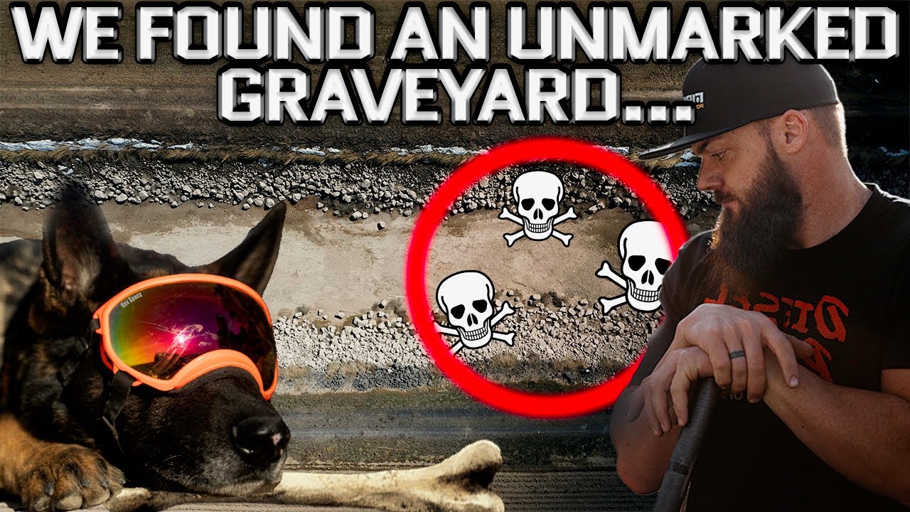 Cadaver dogs search for Susan Powell at a suspicious site