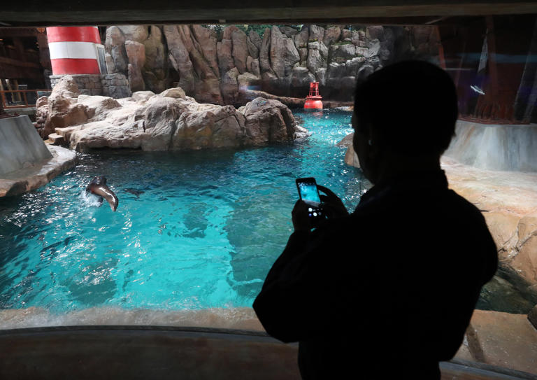 'No brand drives income like Disney': What Disneyland Abu Dhabi means ...