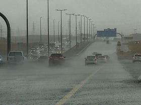 Weather alert: Rain in Sharjah, cloudy across Eastern regions