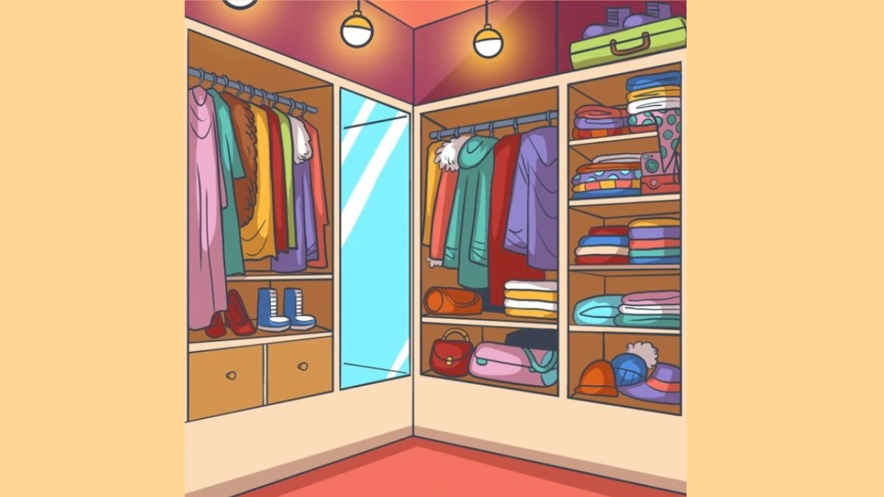 Optical Illusion: Only a visual ninja can spot a camera in this wardrobe