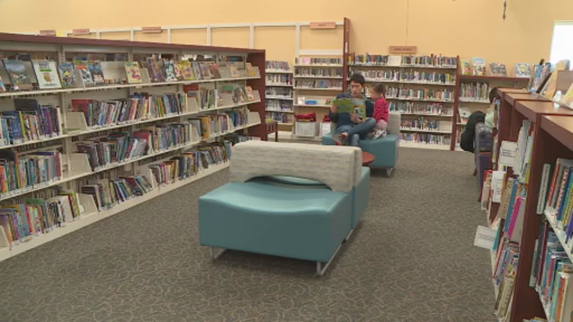 Generations of stories come together as Madison libraries celebrate 150 ...