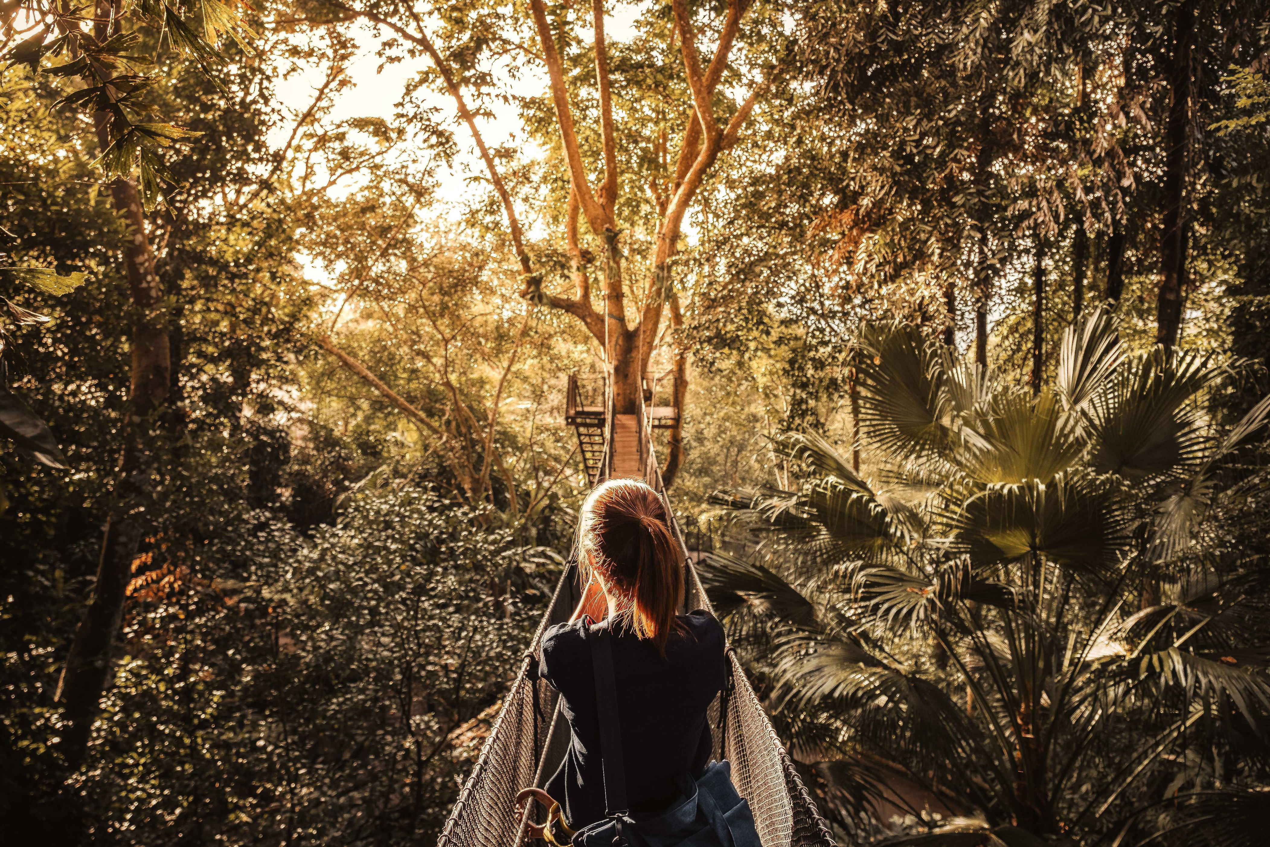 ¿Quiere viajar al Amazonas colombiano? Recomendaciones clave para su visita