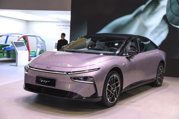 Winner Winner Chicken Dinner: Easy Recipes for Every Night