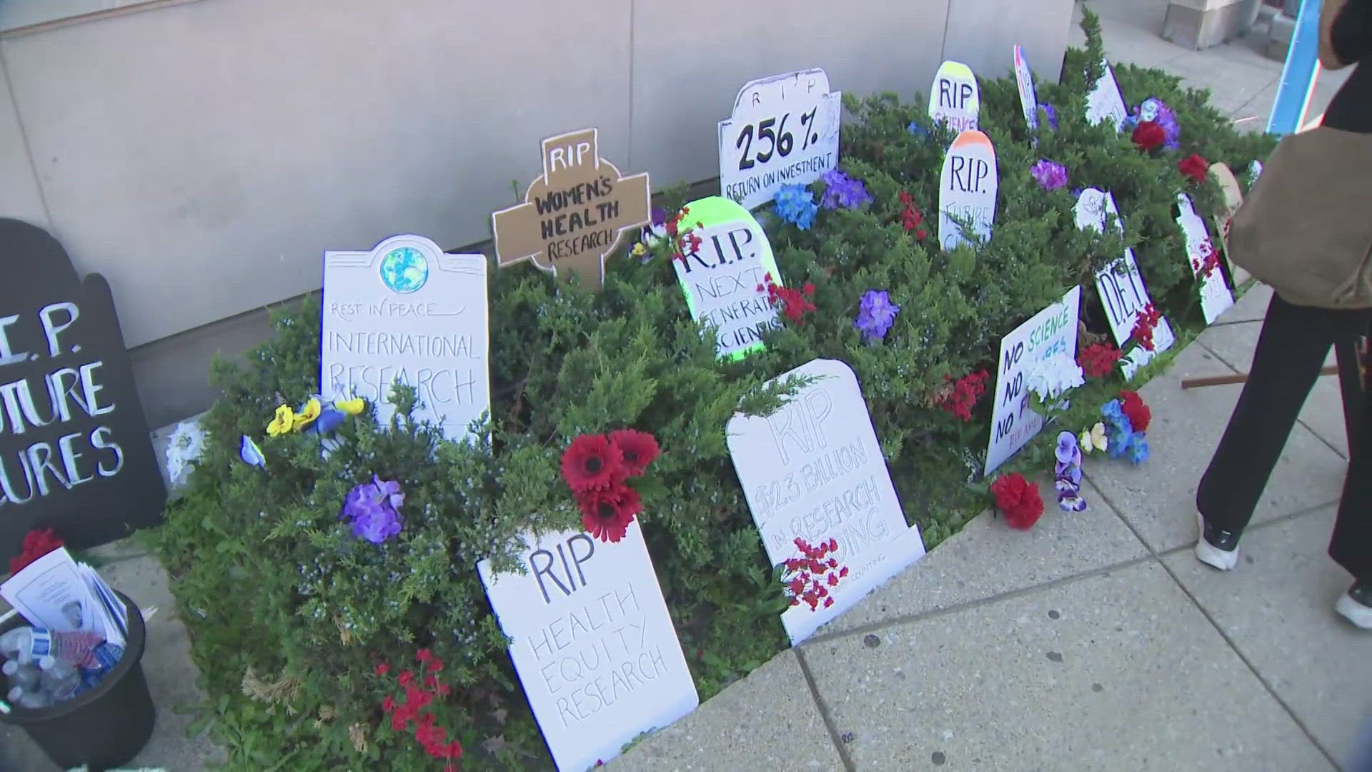 NIH 'Sick of It' rally gains traction with Sen. Alsobrooks taking the ...