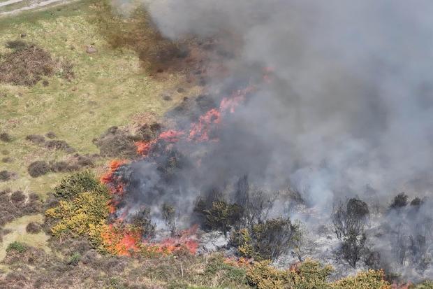 Wildfire spreads over eight hectares of reserve as firefighters still ...