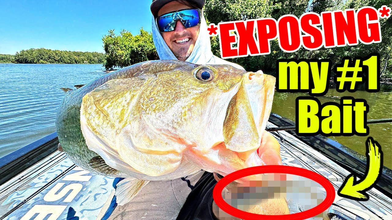 Bait becomes my top weapon for winter fishing