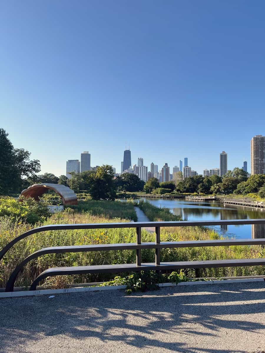 15 Epic Chicago Birthday Ideas for a Celebration to Remember