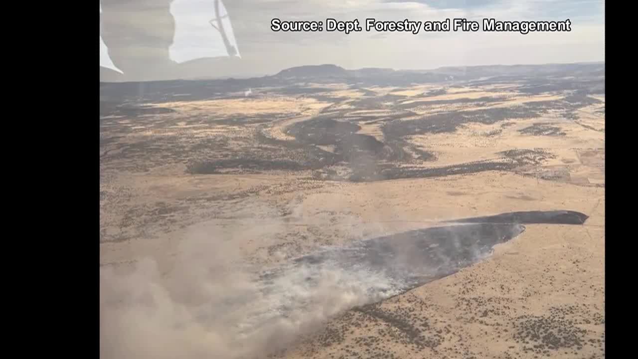 Forward progress stopped for Coyote Fire near Springerville
