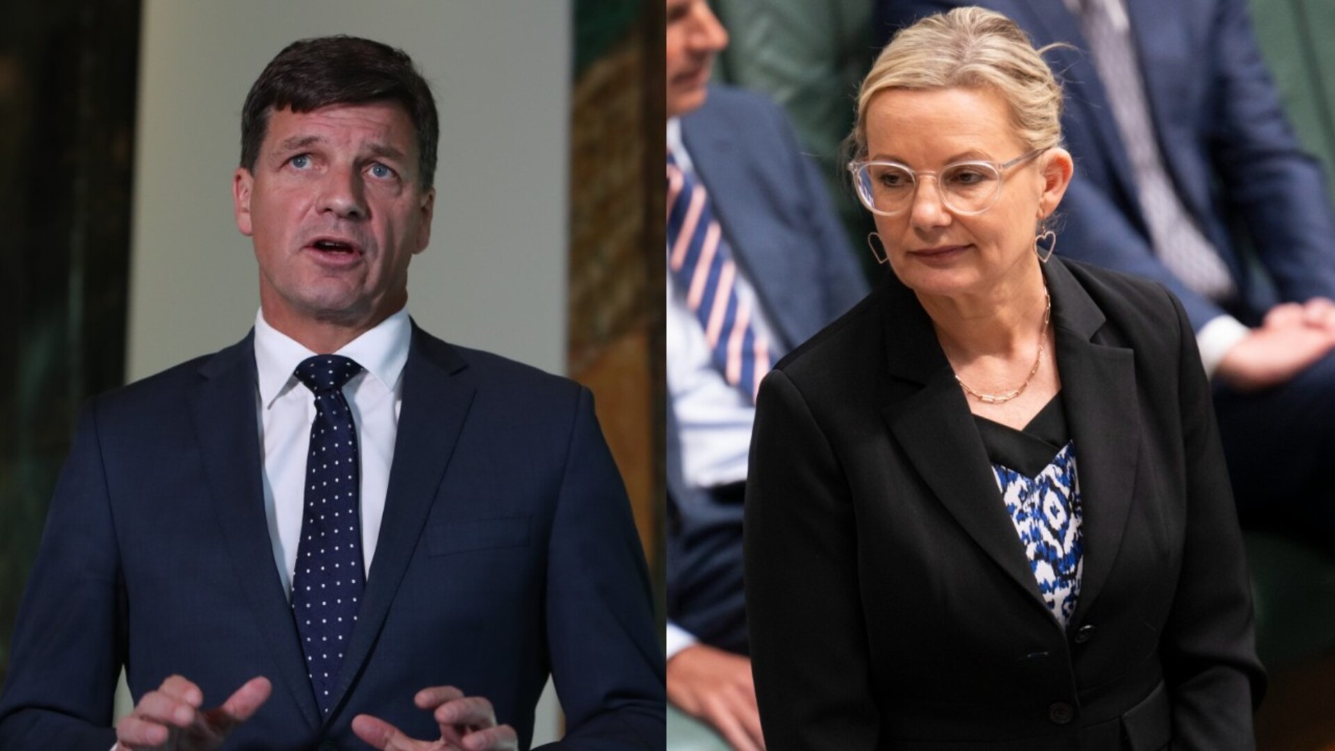 Angus Taylor and Sussan Ley make their final pitch ahead of Liberal ...