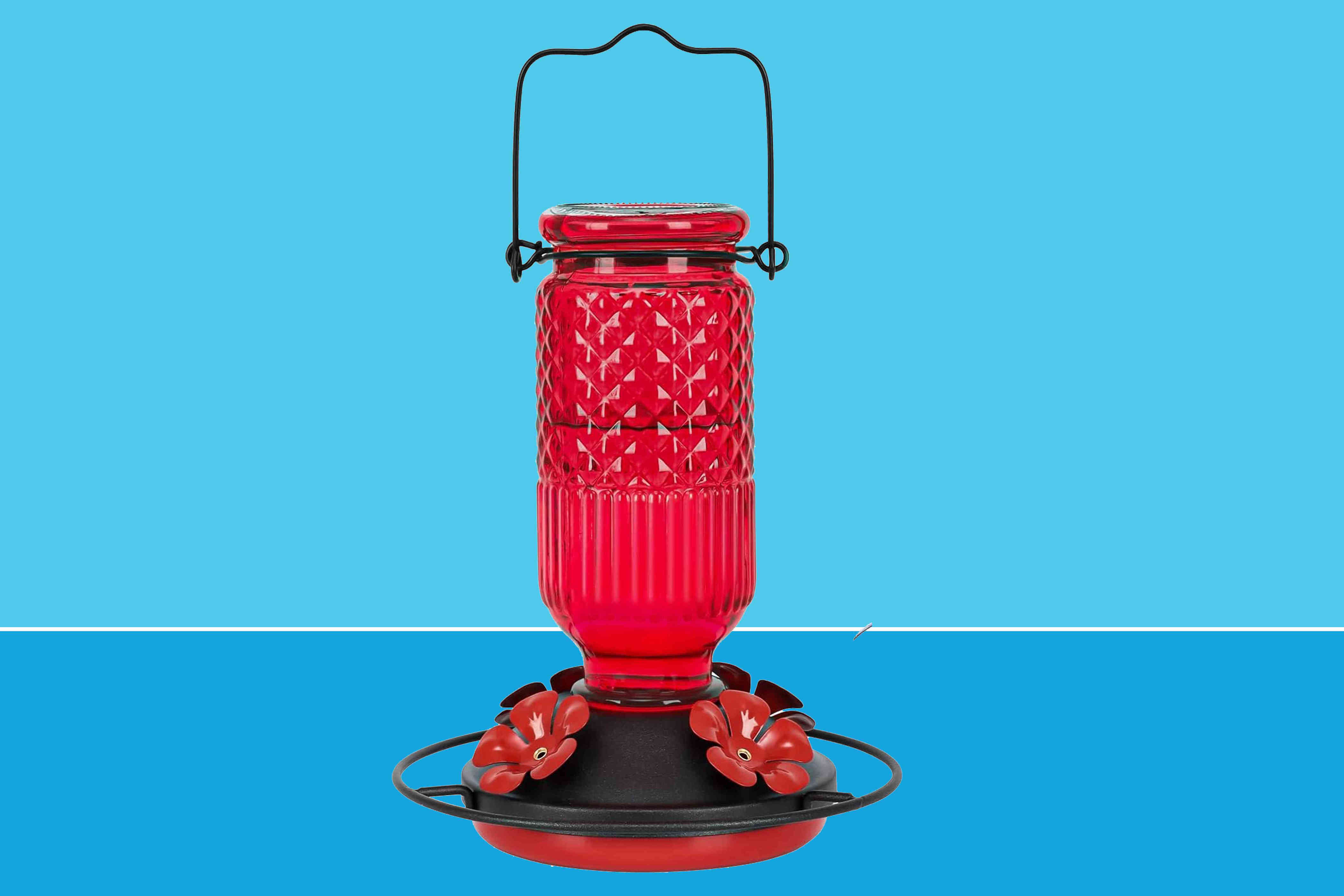 This Hummingbird Feeder Is Only $15 for Amazon Prime Members, and Birds ...