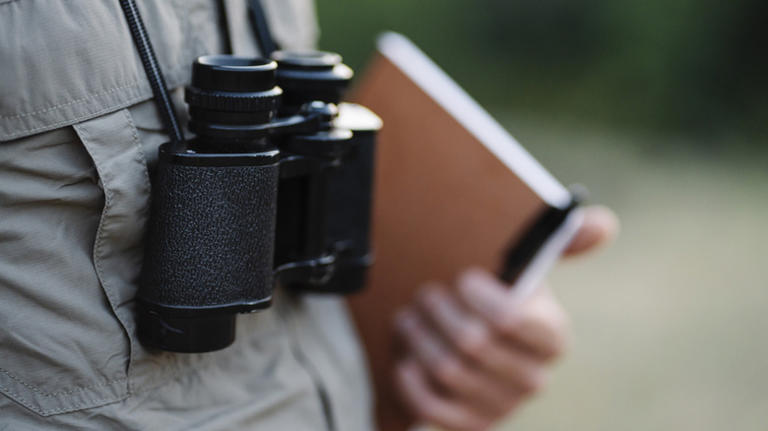 The Different Types Of Rangers You'll Find Working In National And ...