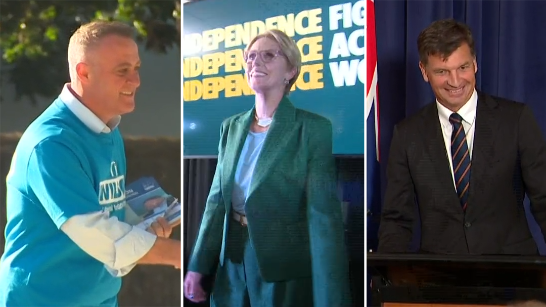 'It's not my time': Tim Wilson pulls out of Liberal leadership race