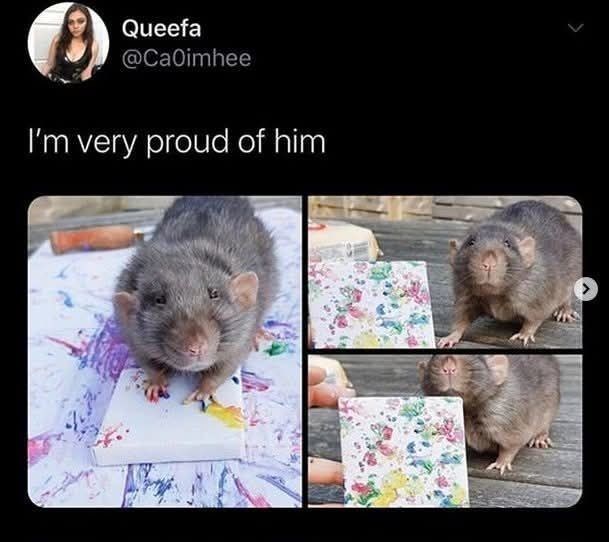 Smol but Mighty: 21 Rodent Memes Chewing Through the Dullness of Your Day