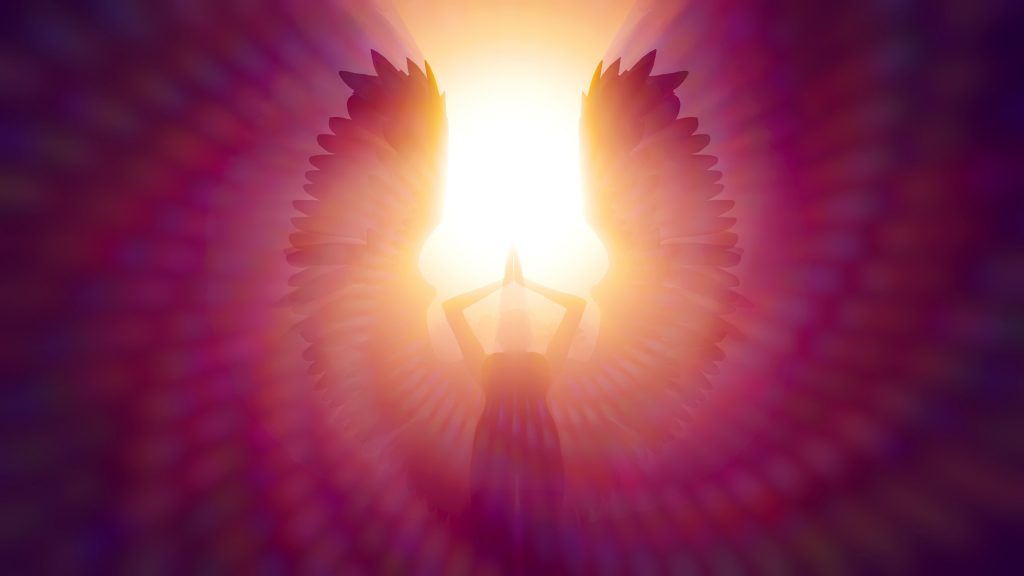 7 animals guardian angels use to communicate with us