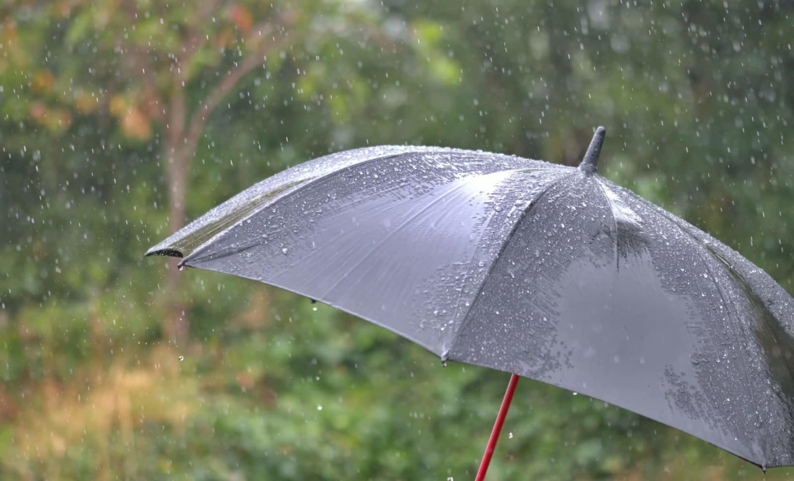 Sudden Burst of Rain to Sweep UK After May’s Calm Start, Met Office ...