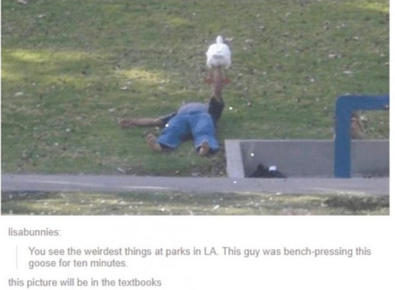 30 Delightfully Weird Tumblr Posts from the Internet’s Lovable Chaos ...
