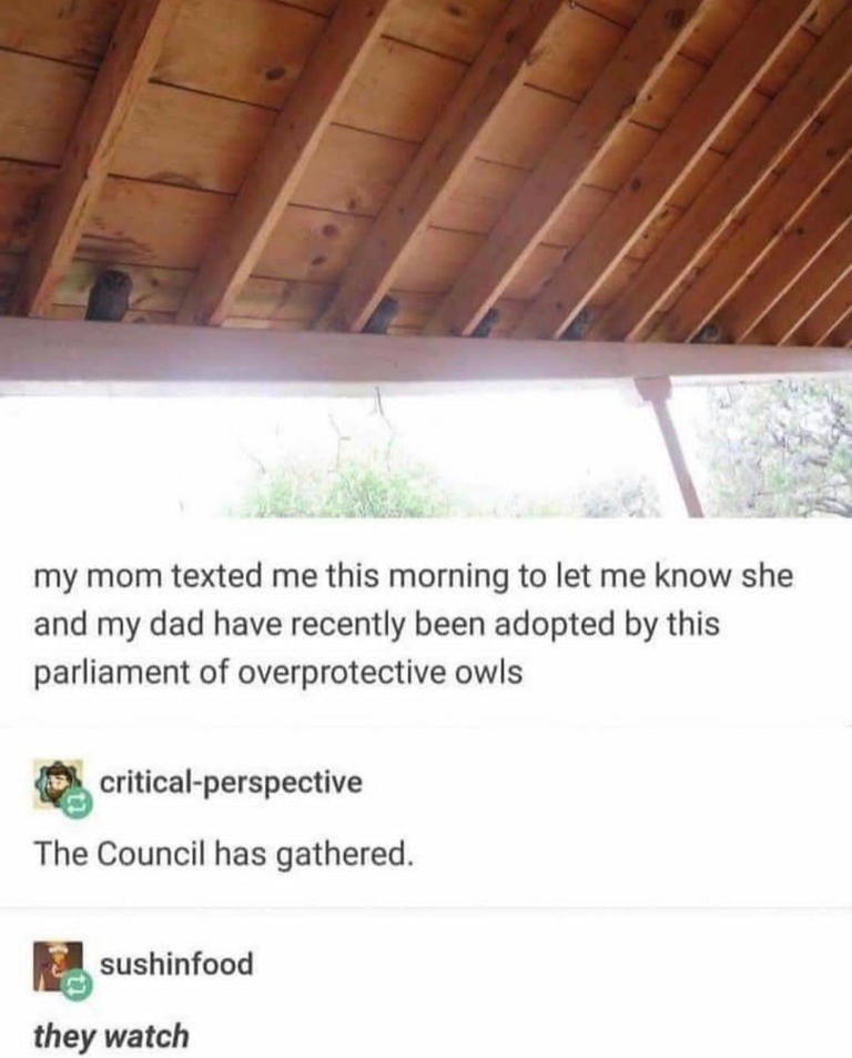 30 Delightfully Weird Tumblr Posts from the Internet’s Lovable Chaos ...